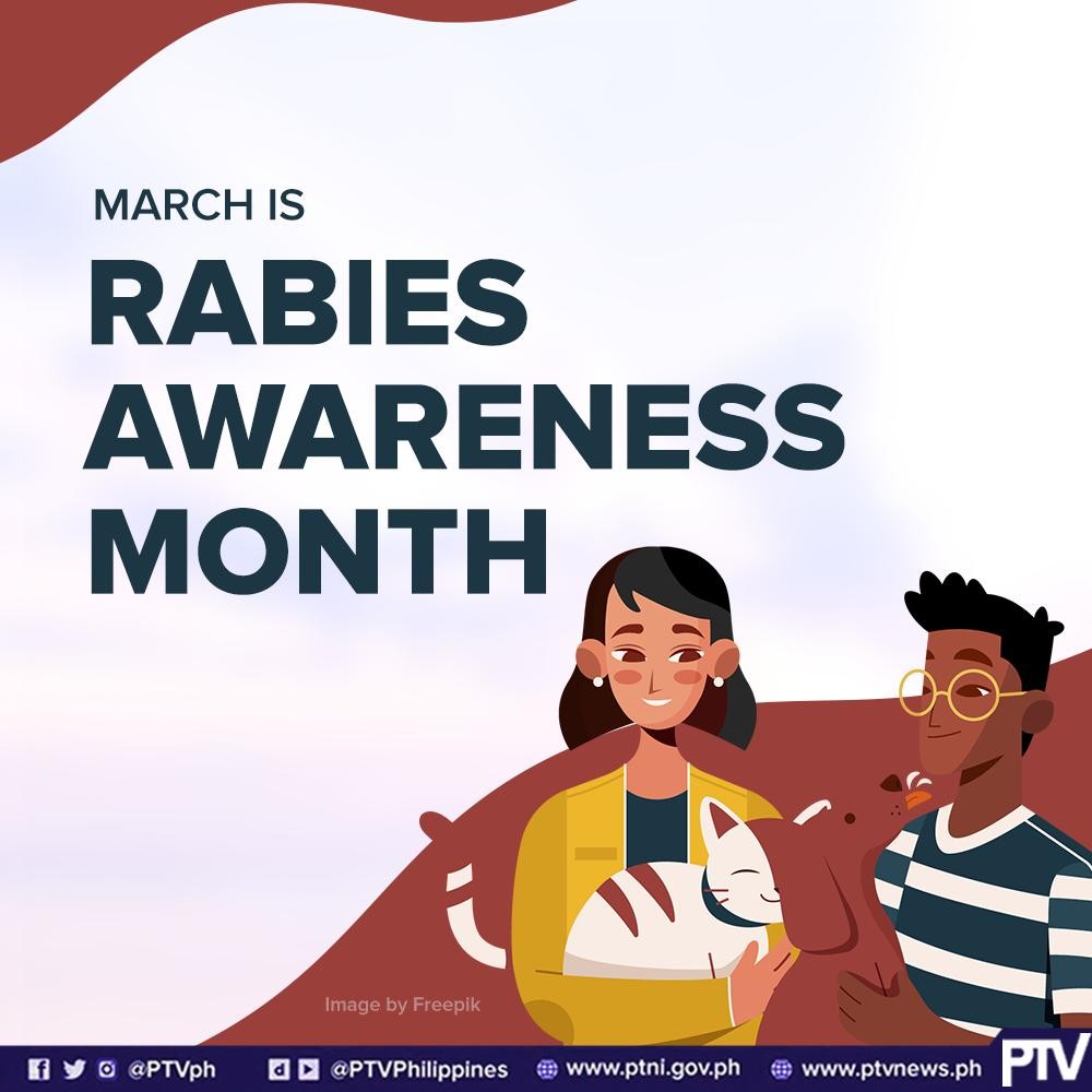 Public urged to vaccinate pets, get immediate treatment for bites - PTV ...