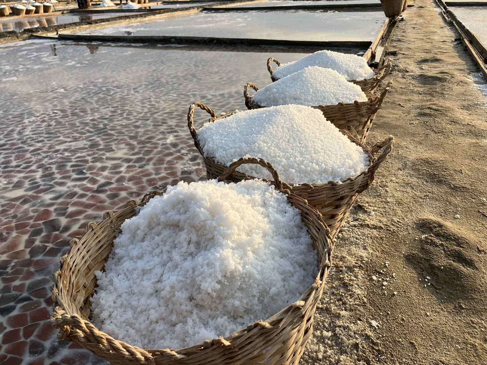 PBBM inks law boosting salt industry; PH to become ‘next exporter ...