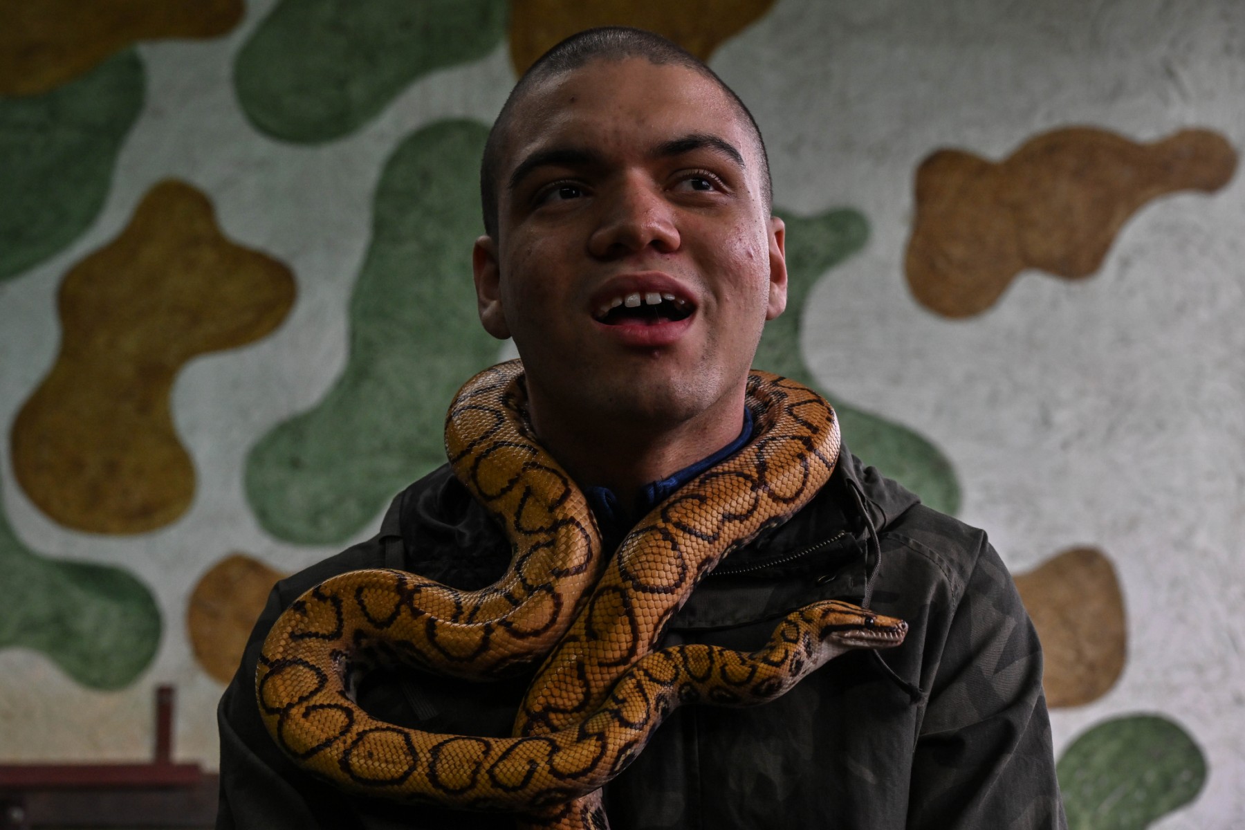 Snakes as therapy animals: reptiles help heal in Brazil - PTV News