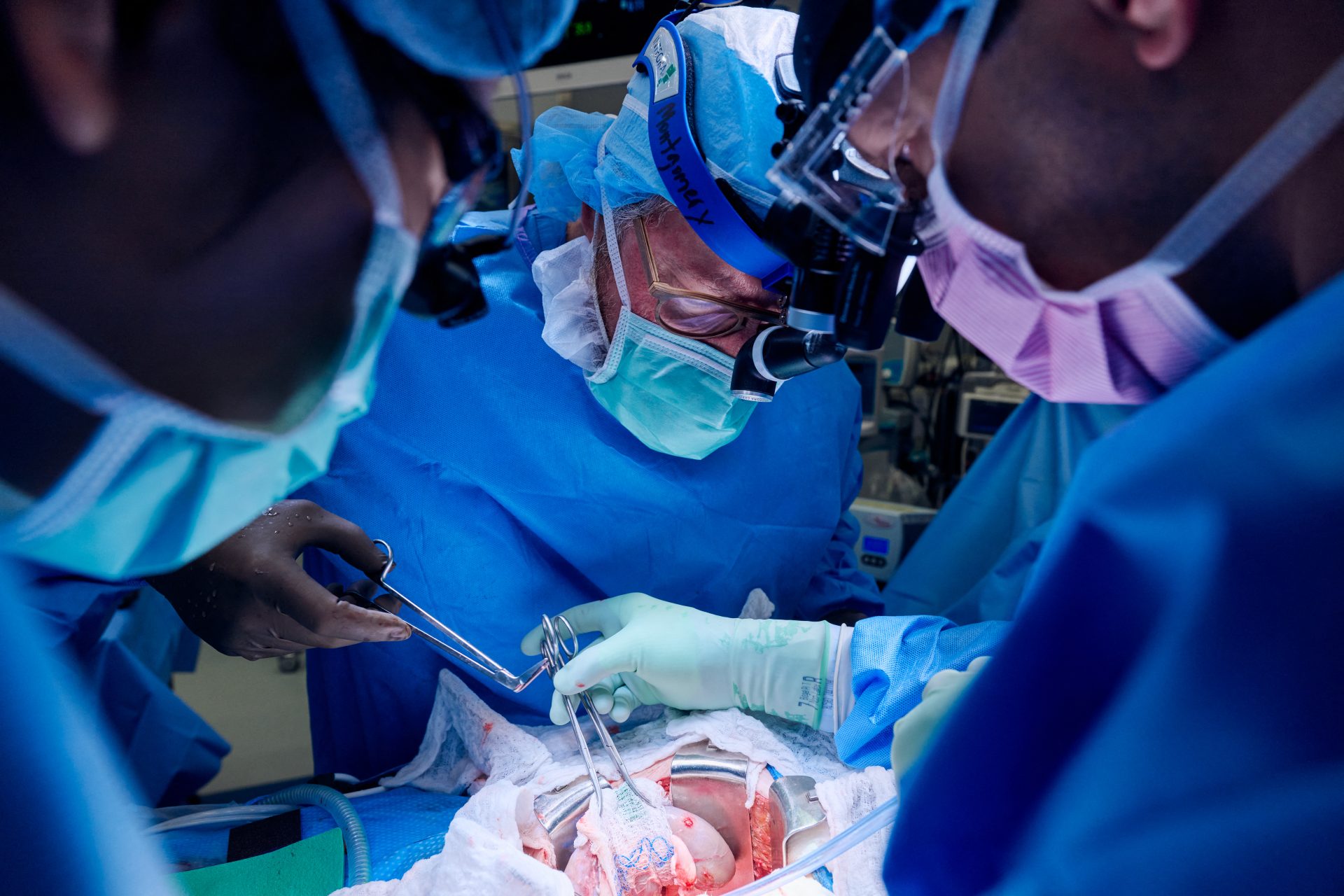 US surgeons transplant pig kidney to live patient for second time - PTV ...